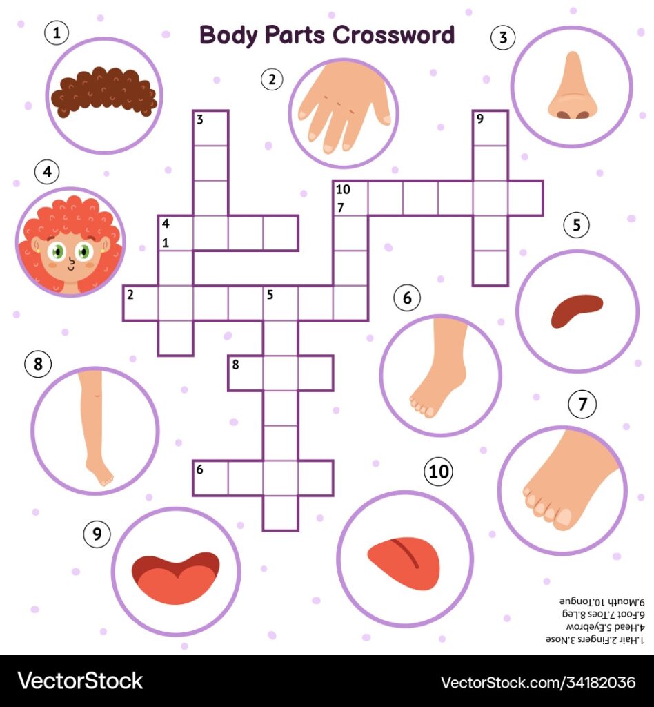 Body Parts Crossword Puzzle Worksheets - Puzzle Worksheets Printable
