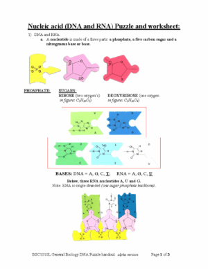 Dna Puzzles Worksheets - Puzzle Worksheets Printable
