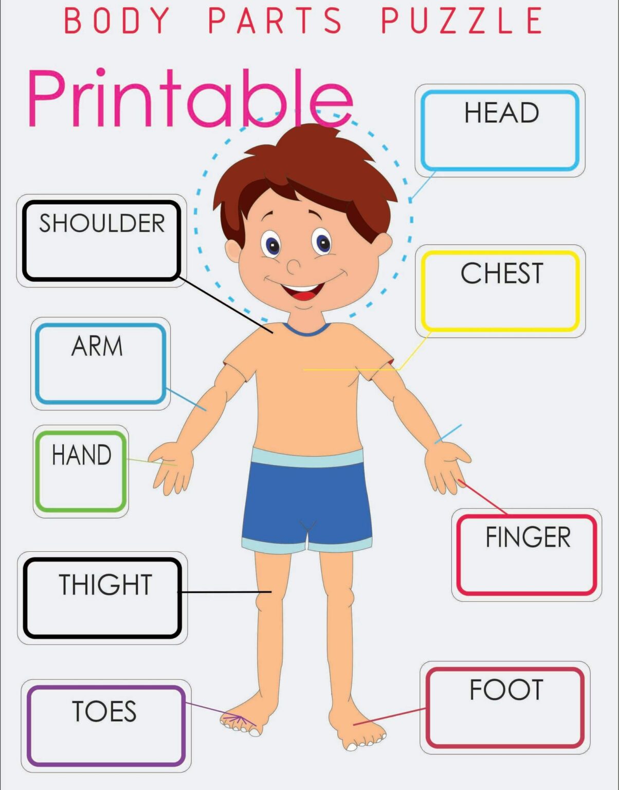 Parts Of The Body Puzzle Worksheets - Puzzle Worksheets Printable
